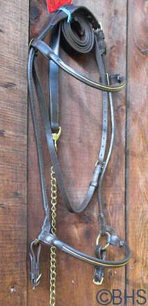 The Baroque Horse Store