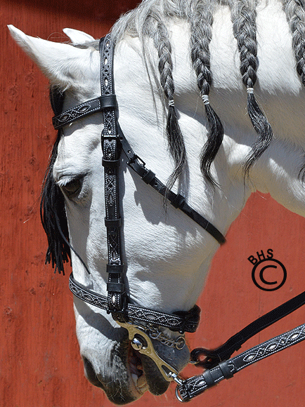 The Baroque Horse Store